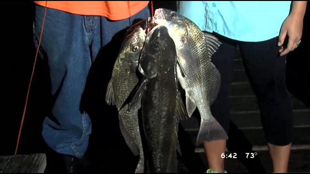 Fishing for Autism Tournament in All Waters, For Family | kiiitv.com