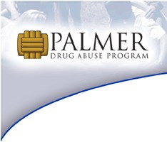 The Palmer Drug Abuse Program Hosts Drug Free Walk | kiiitv.com