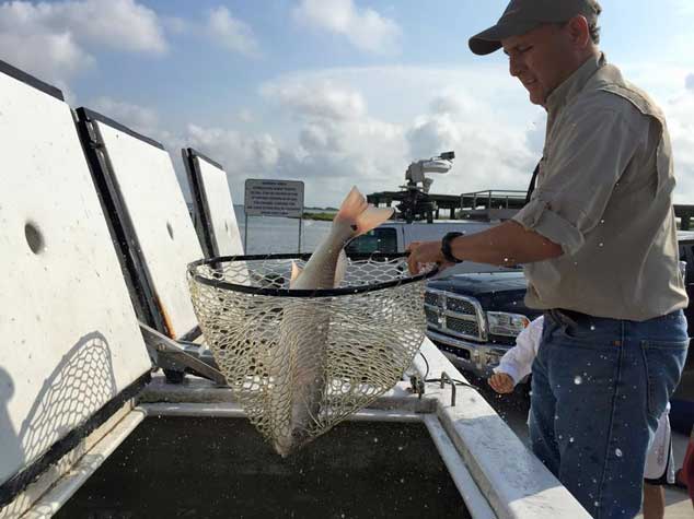 CCA Star Fishing Tournament Kicks Off Memorial Day Weekend | kiiitv.com