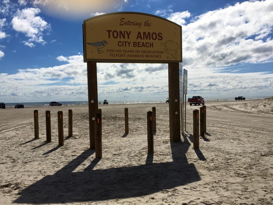 Sign Revealed for Marine Life Researcher Beach Dedication in Port ...